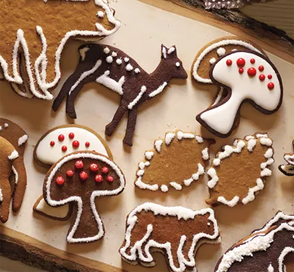 Honey Spice Gingerbread Cookies - DUTCHMAN'S GOLD